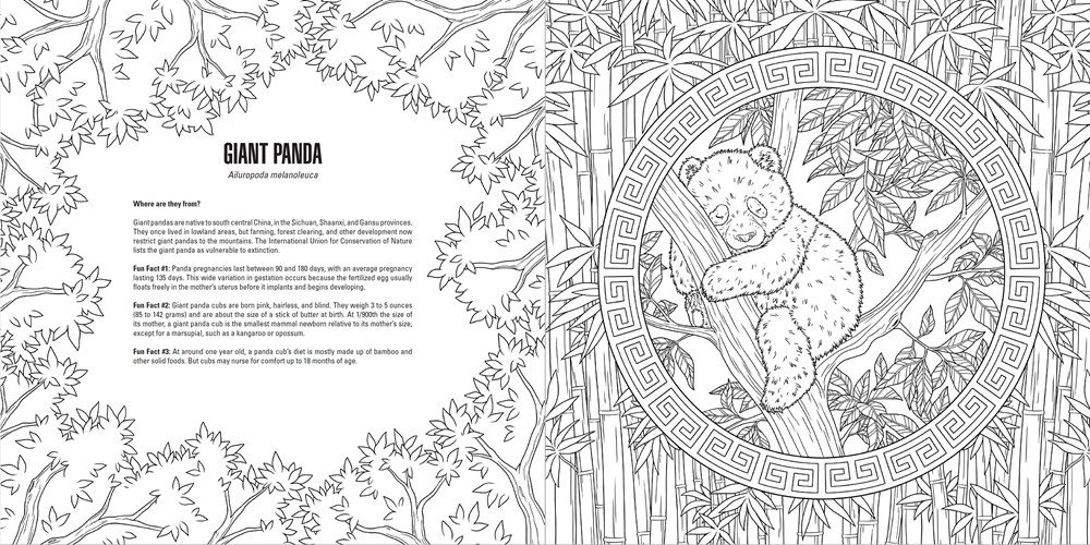 Baby Animals A Smithsonian Coloring Book